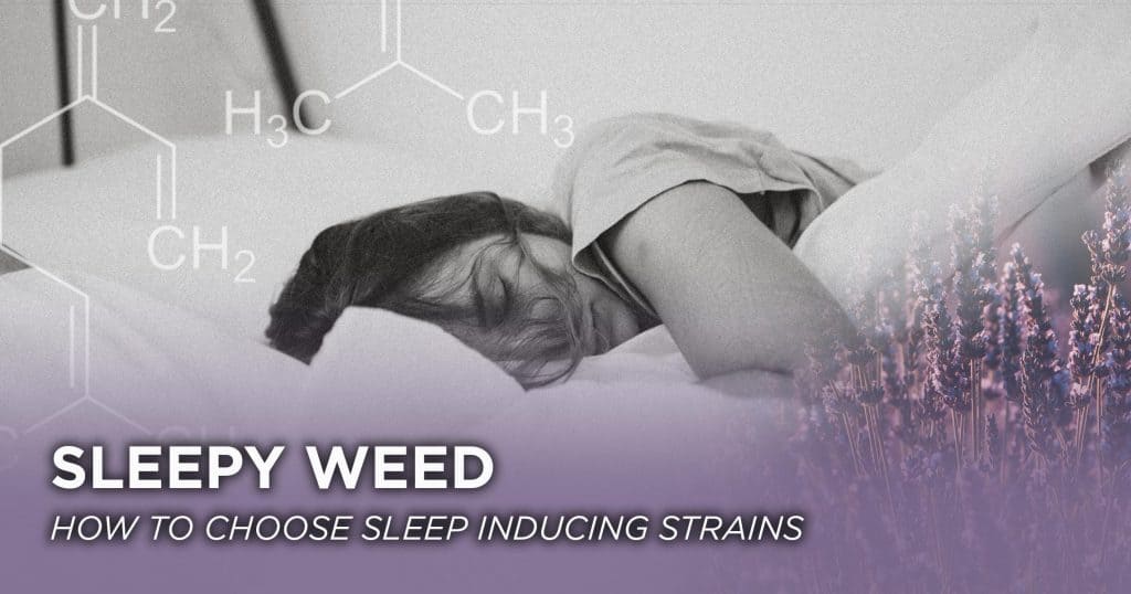 Choosing Sleep Inducing Weed Strains - Agate Dreams