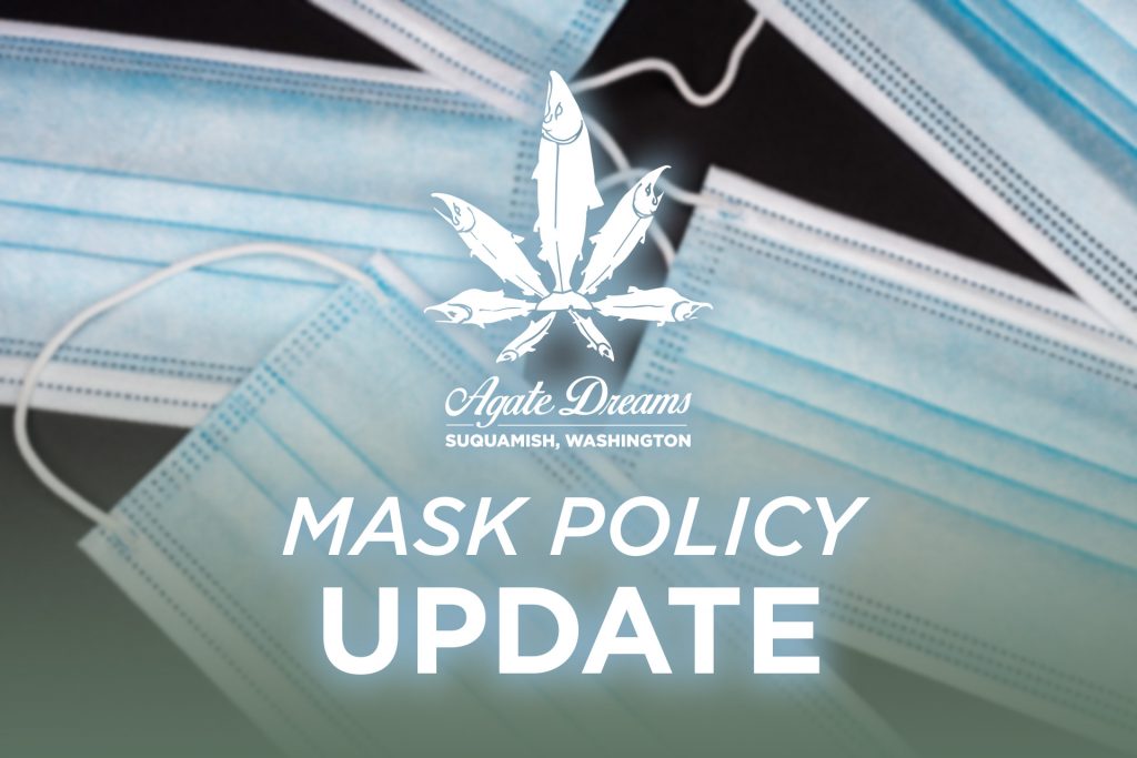 August ‘21 Mask Update - Agate Dreams