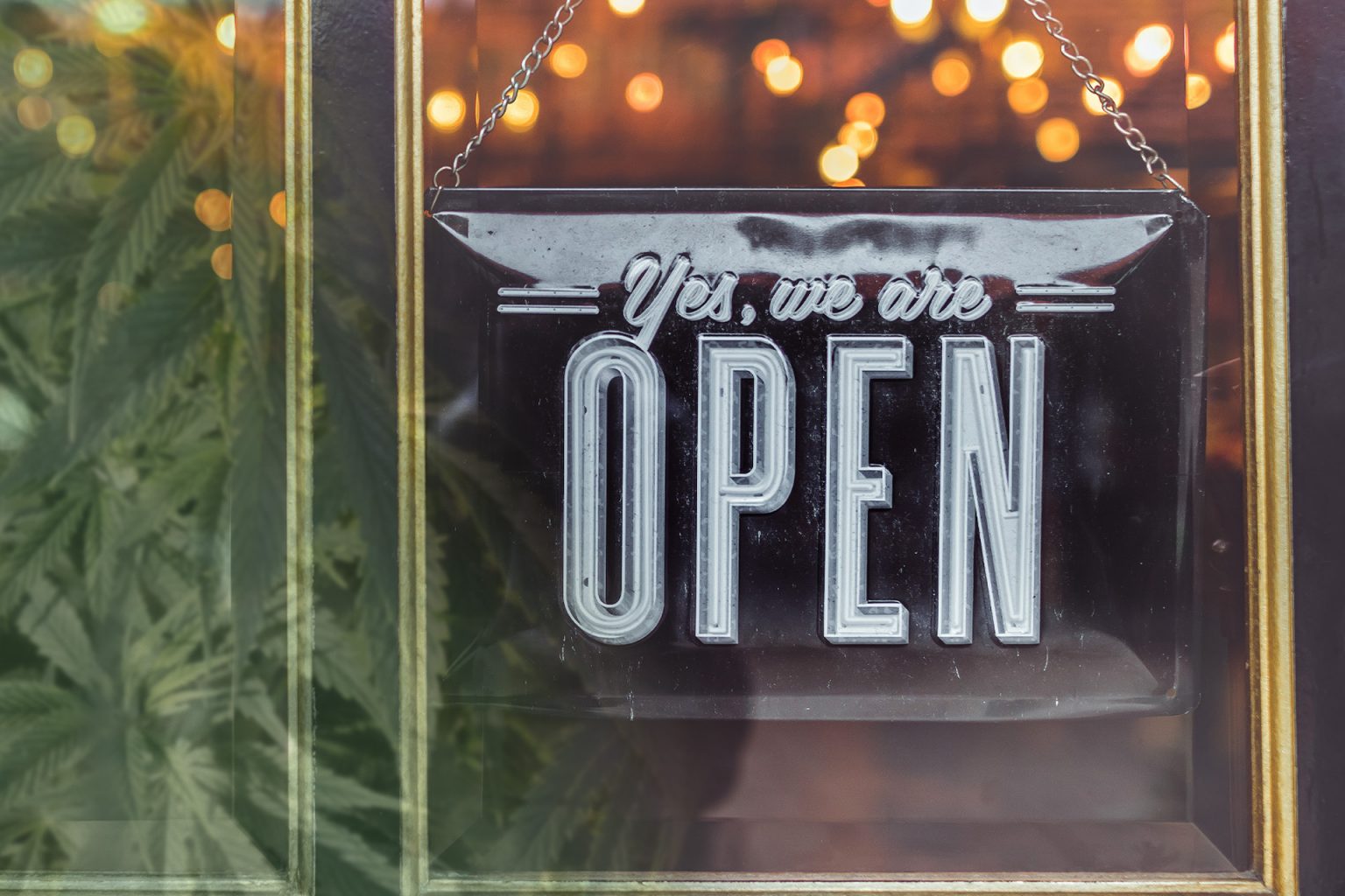 We’re Open for Labor Day! - Agate Dreams