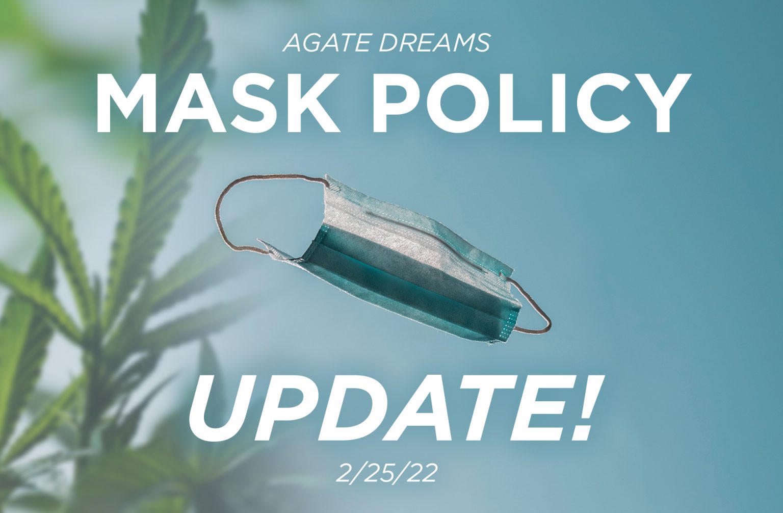 Mask Policy Notice: - Agate Dreams
