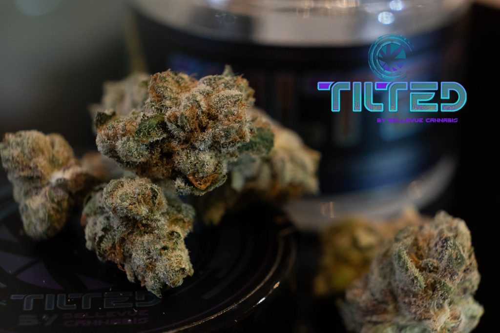 Featured Strain: Sunset Sherbert OG from Tilted Cannabis! - Agate Dreams