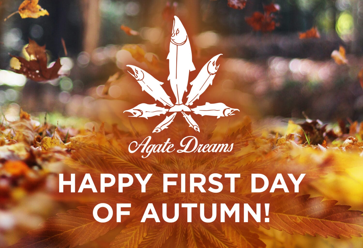 Welcome Autumn First Day Of Fall Agate Dreams