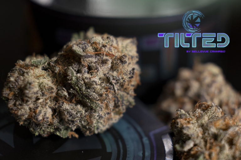 Strain Feature: Black Cherry Gas from Tilted by Bellevue Cannabis ...