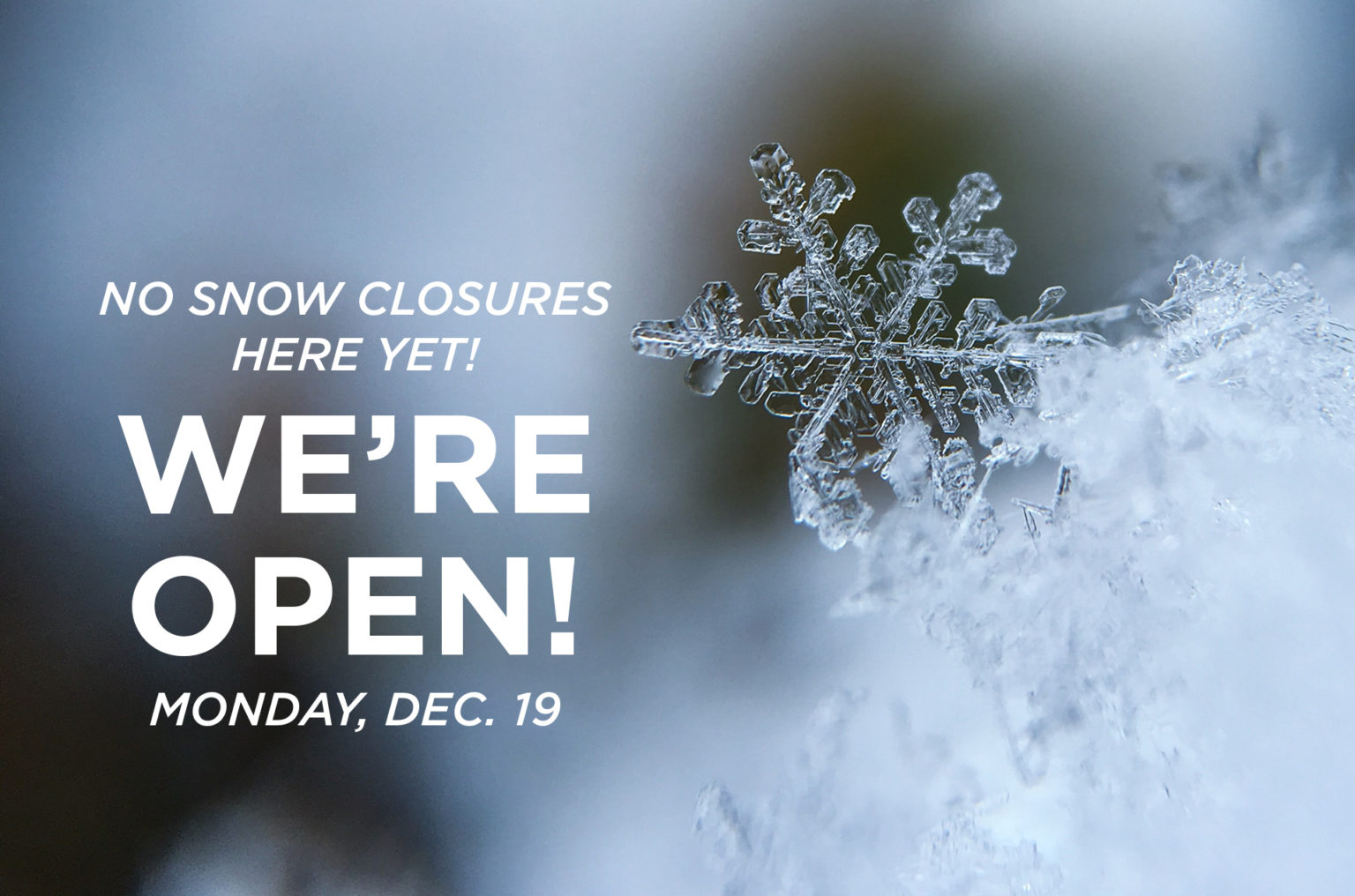 Snow Update! | We're OPEN! - Agate Dreams
