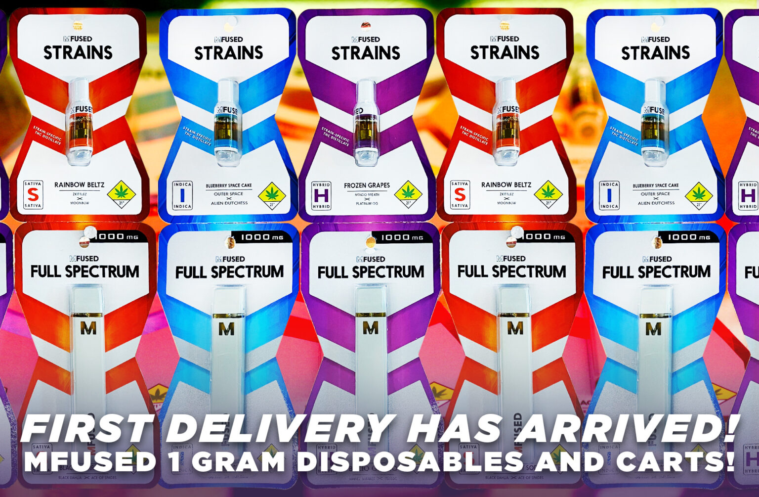 Explore the World of Mfused Products | Agate Dreams