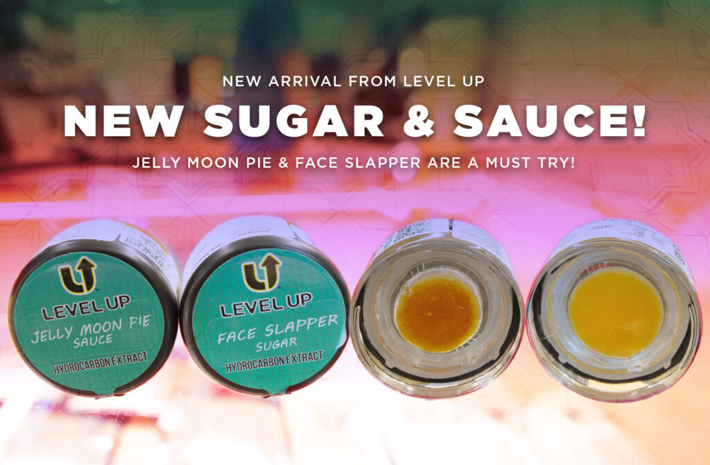 New Sugar and Sauce from Level Up! - Agate Dreams